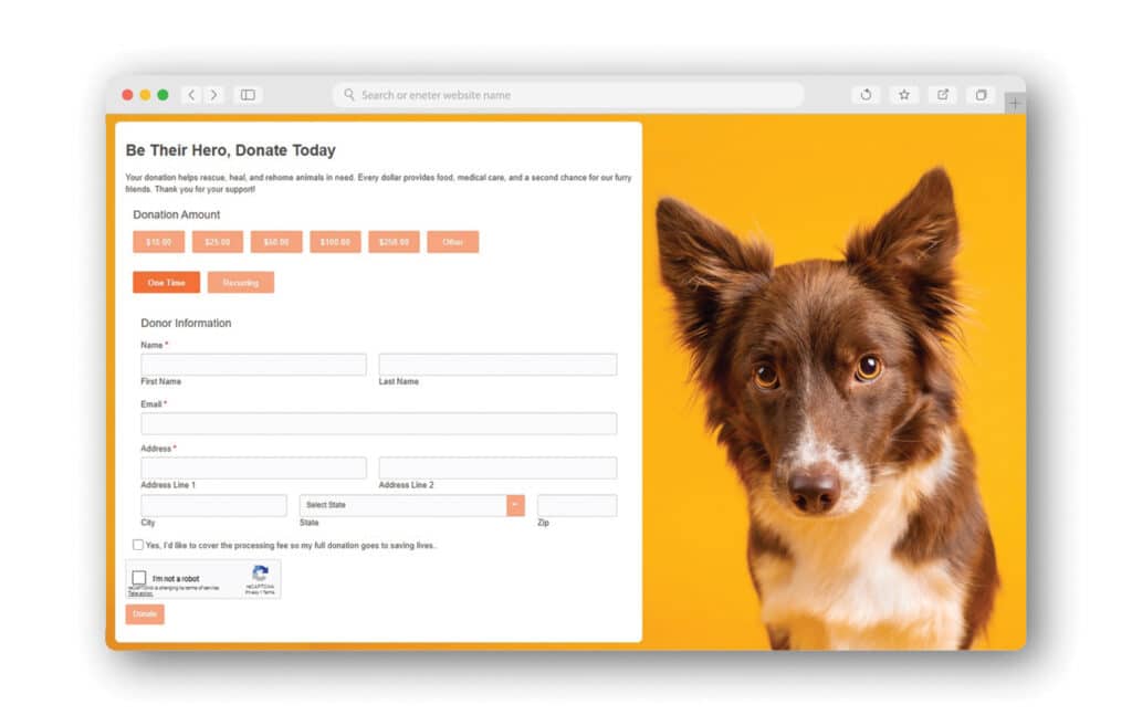 Digital Fundraising CRM | Donation Forms, Tracking & More | Eleo